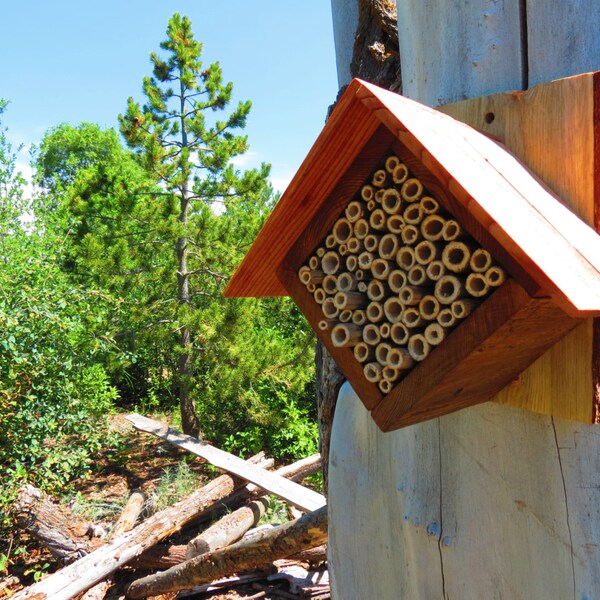 Mason Bee House - Etsy