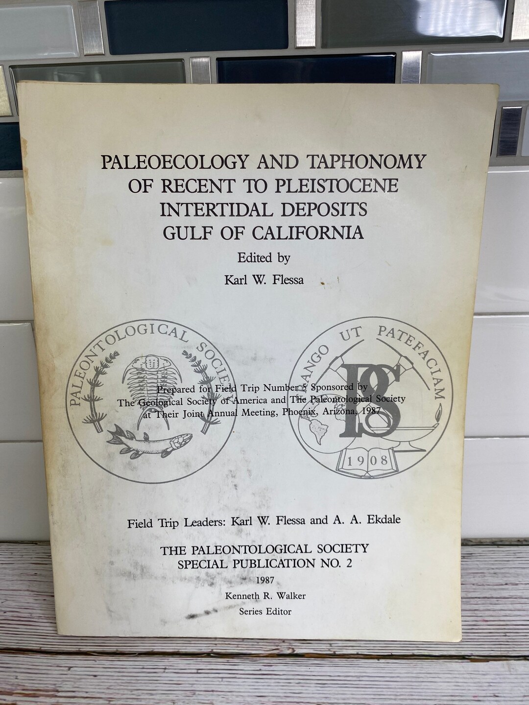 1987 Paleoecology and Taphonomy of Pleistocene Intertidal Deposits Golf ...