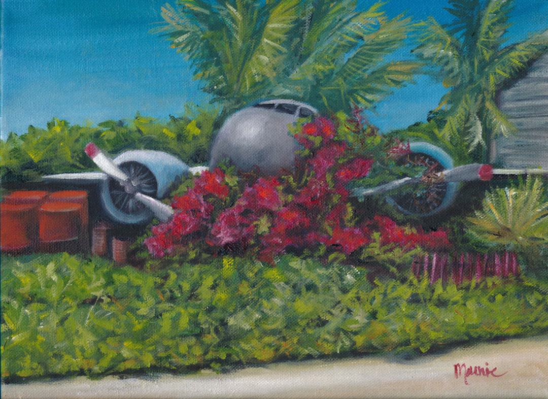 Stranded at Castaway Cay, Oil Painting, Original Art, Ready to Hang - Etsy