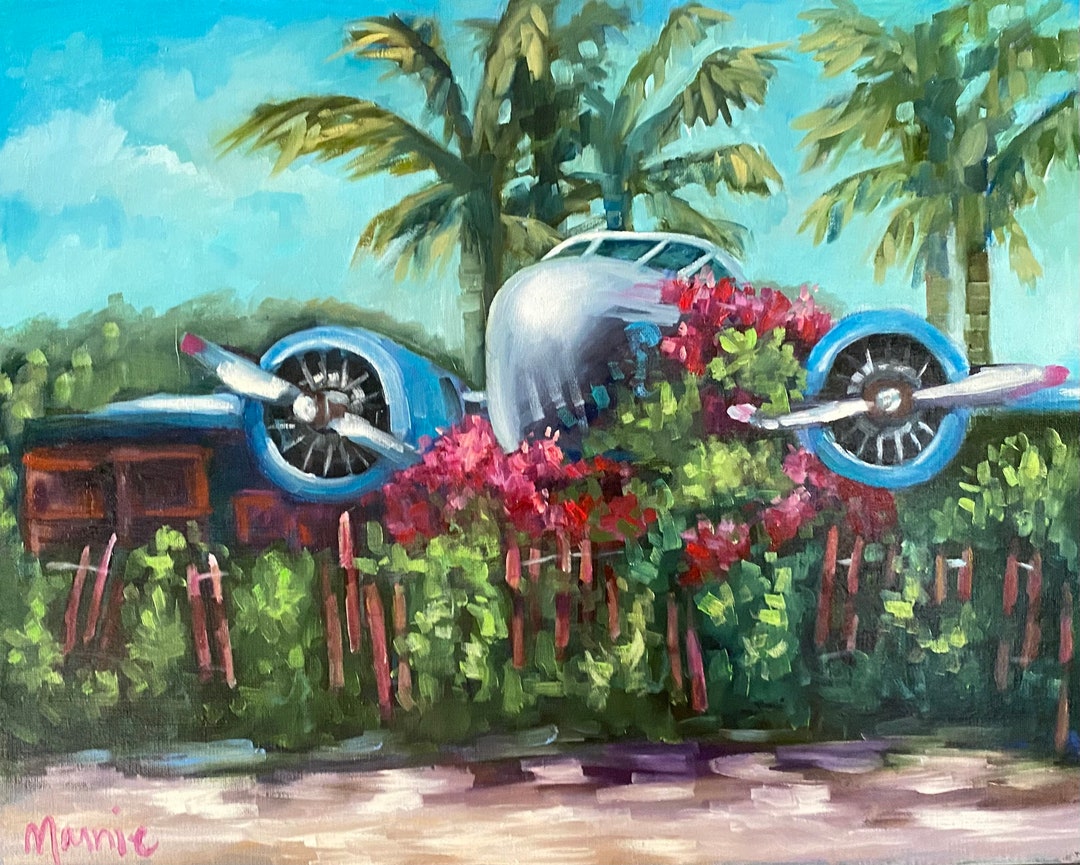 Stranded at Castaway Cay, Oil Painting, Original Art, Ready to Hang - Etsy