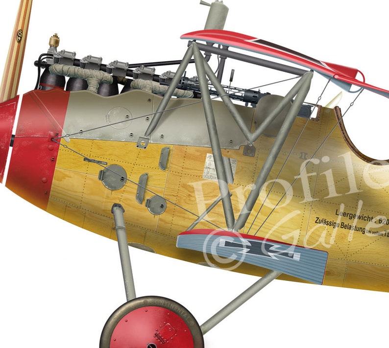 Albatross DV Red Baron 1917 Vintage Aircraft Profile Artwork, A3 Glossy ...