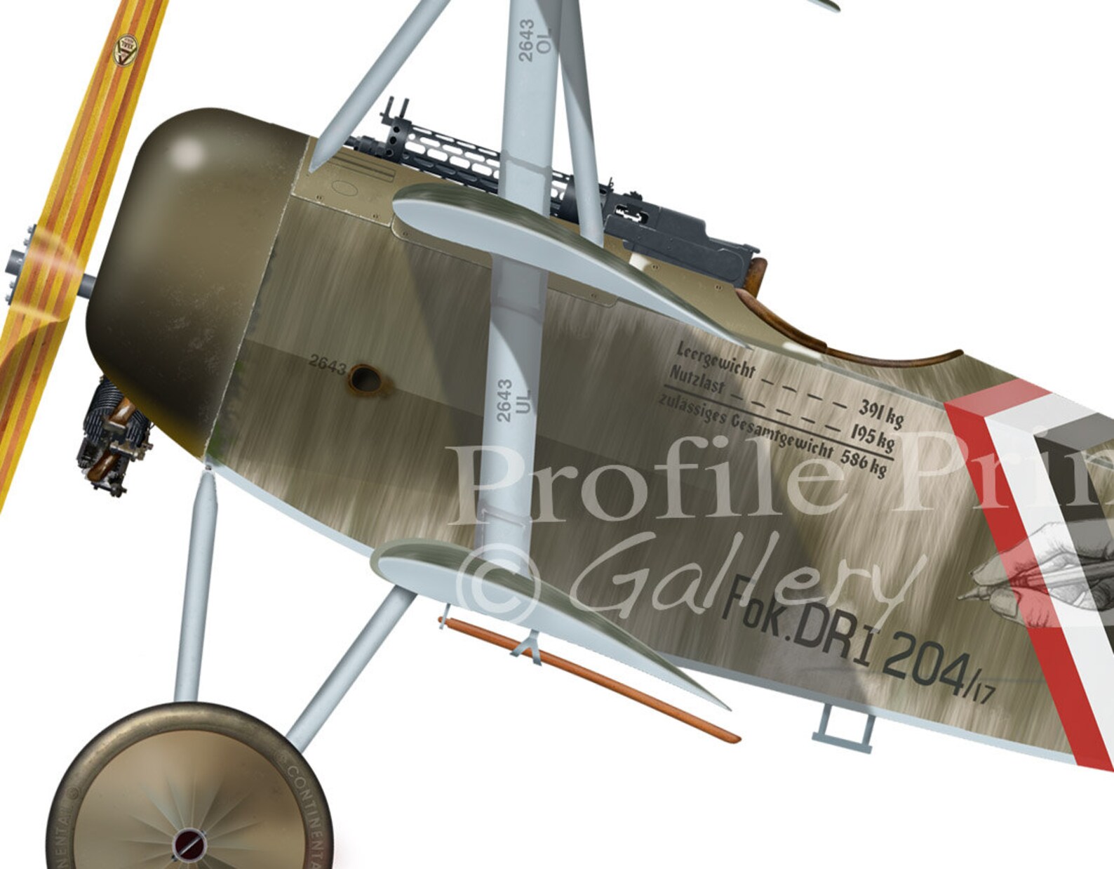 Fokker DR1 Pilot Paul Baumer Vintage Aircraft Profile Artwork, A3 ...