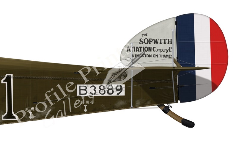 Sopwith Camel 1917 Vintage Aircraft Profile Artwork, A3 Glossy Print of ...