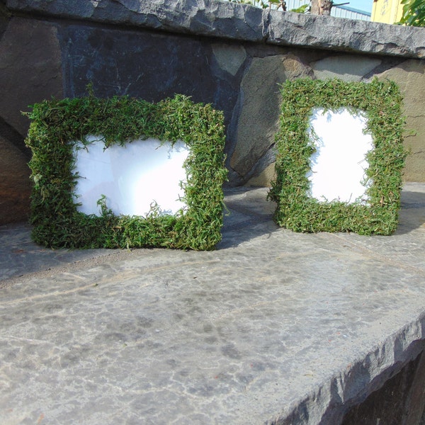 Moss Frames - Etsy