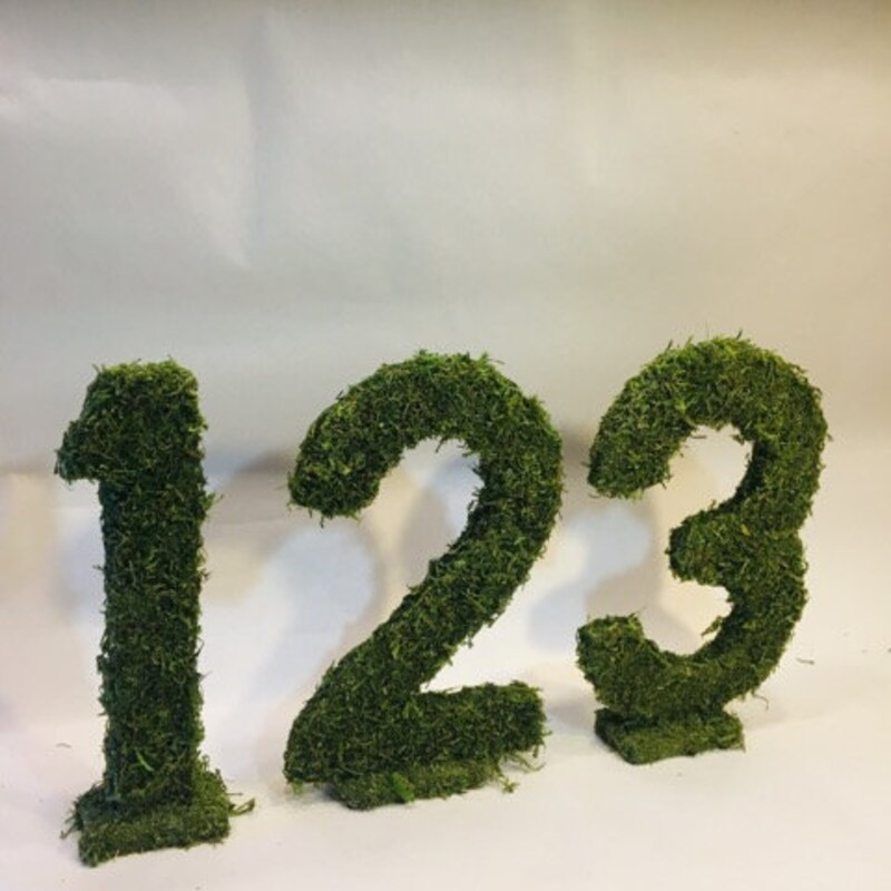 Moss Table Decor - Etsy