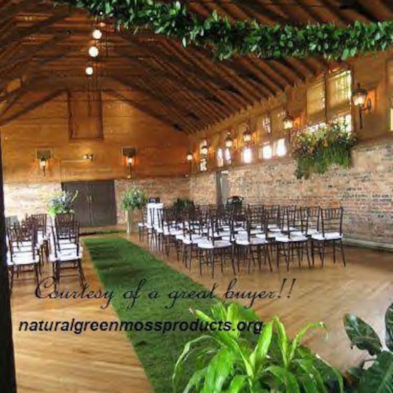 Decorative Moss - Etsy