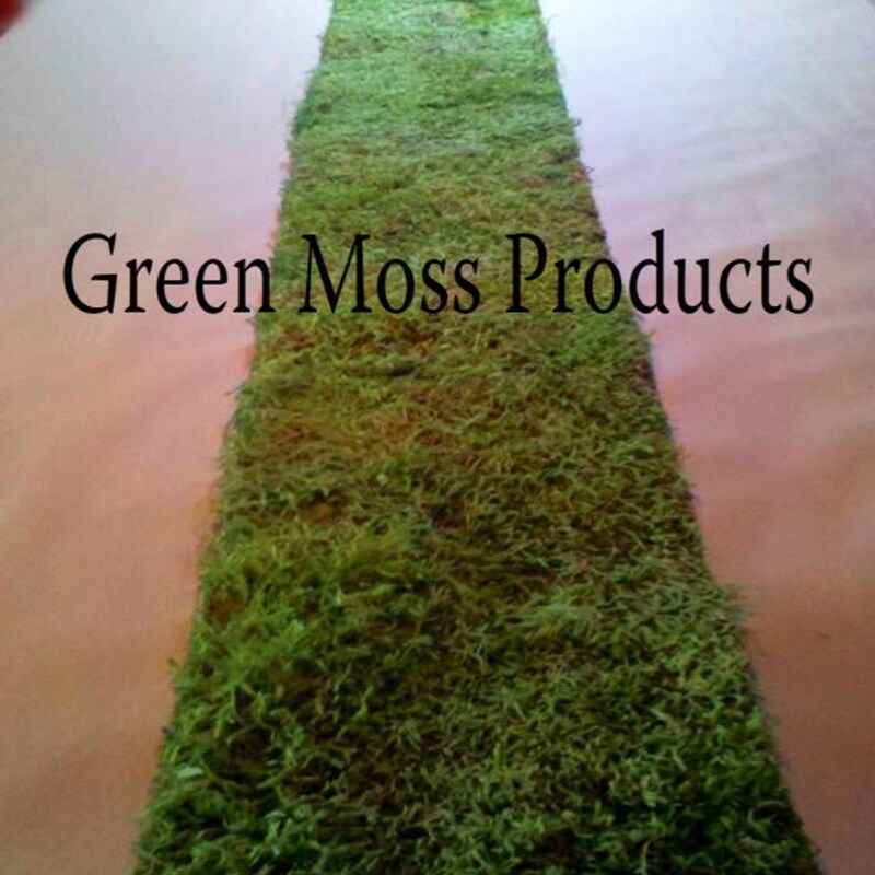 Moss Table Decor - Etsy