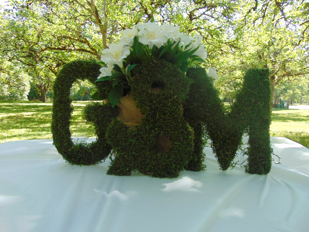 Moss Covered Letters and Ampersand 11 Inches Tall Moss Monogram Save ...
