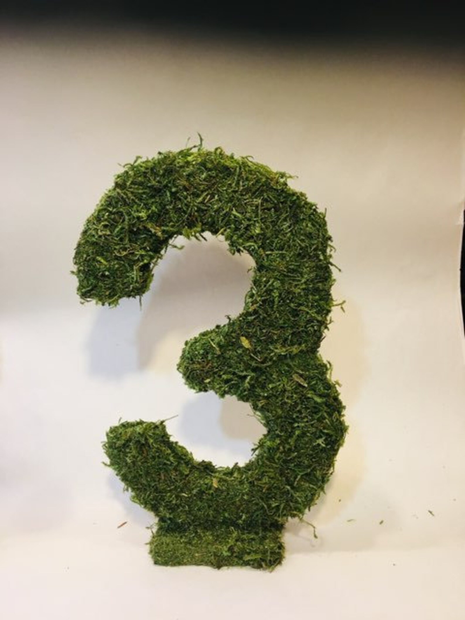Moss Covered Number 11 Inches Tall Wedding Table Numbers Moss - Etsy