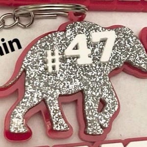 Dst, Zeta, AKA, Sgrho Accessories, Sorority Keychain, Greek Keychains ...