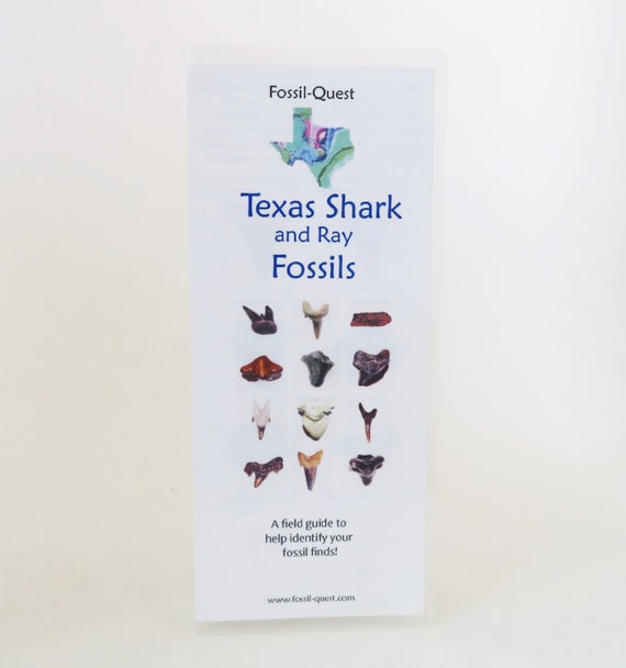 Texas Fossil Sharks Laminated Field Guide | Etsy