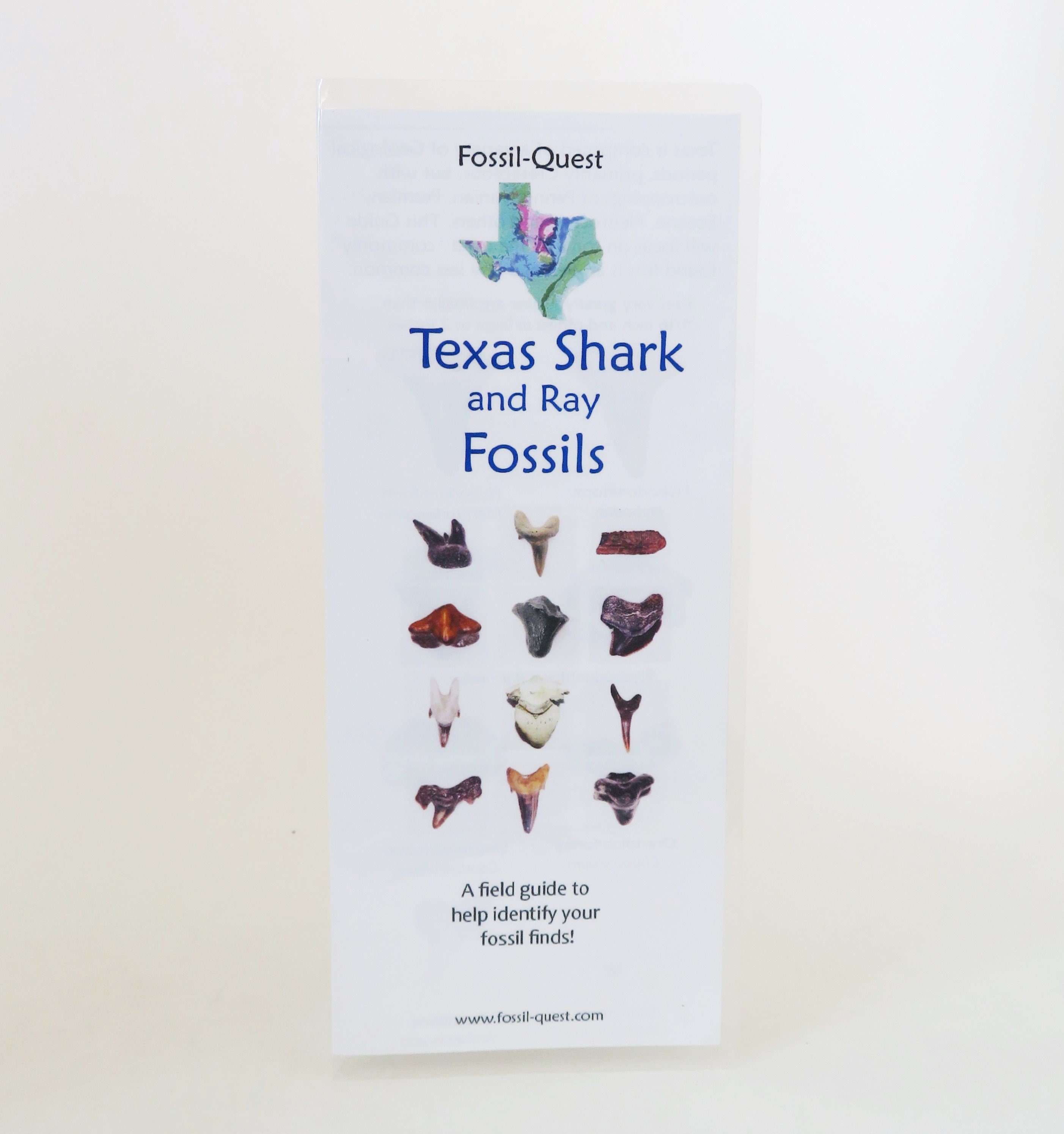 Texas Fossil Sharks Laminated Field Guide - Etsy