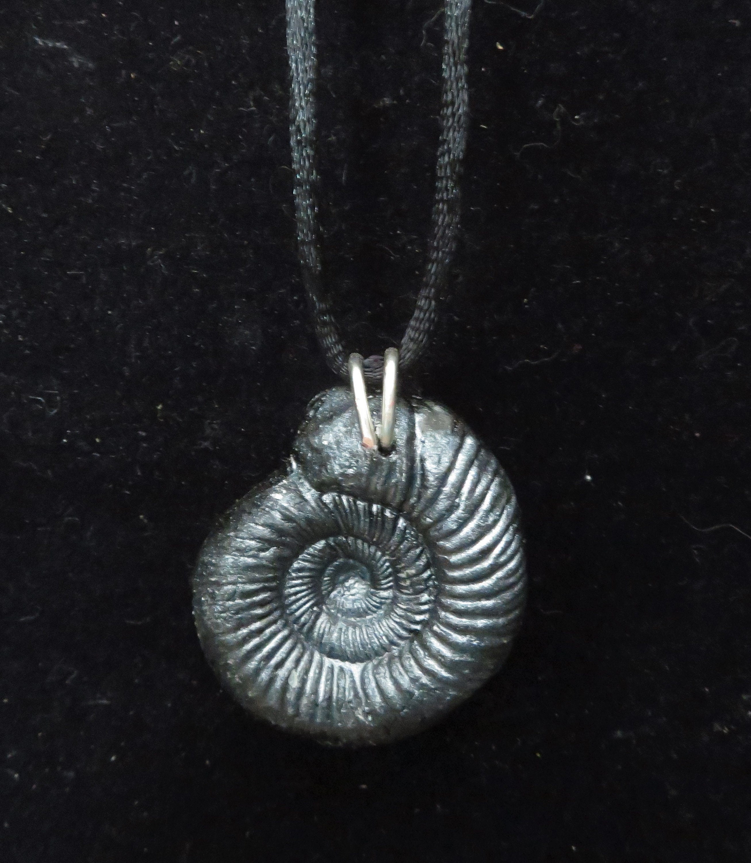 Fossil Pendant Ammonite Fossil Jewelry - Etsy