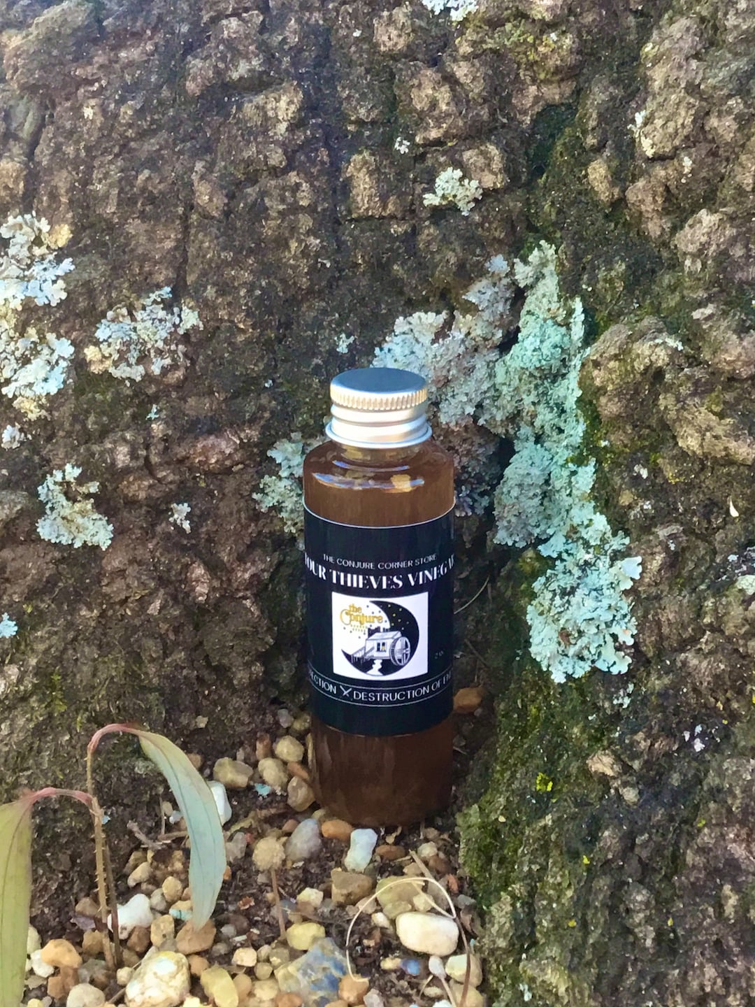 Four Thieves Vinegar,protect and Banish Enemies,hoodoo, Protection ...