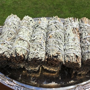 Blue Sage, Blue Sage Bundles, Smudging, Cleansing - Etsy