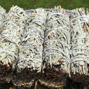 Blue Sage, Blue Sage Bundles, Smudging, Cleansing - Etsy