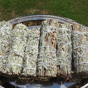 Blue Sage, Blue Sage Bundles, Smudging, Cleansing - Etsy