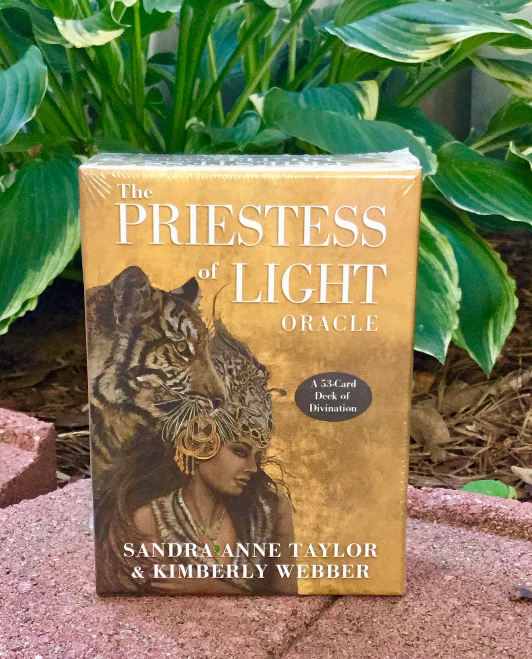 The Priestess of Light Oracle, Oracle Card Decks, Gift for Mom ...