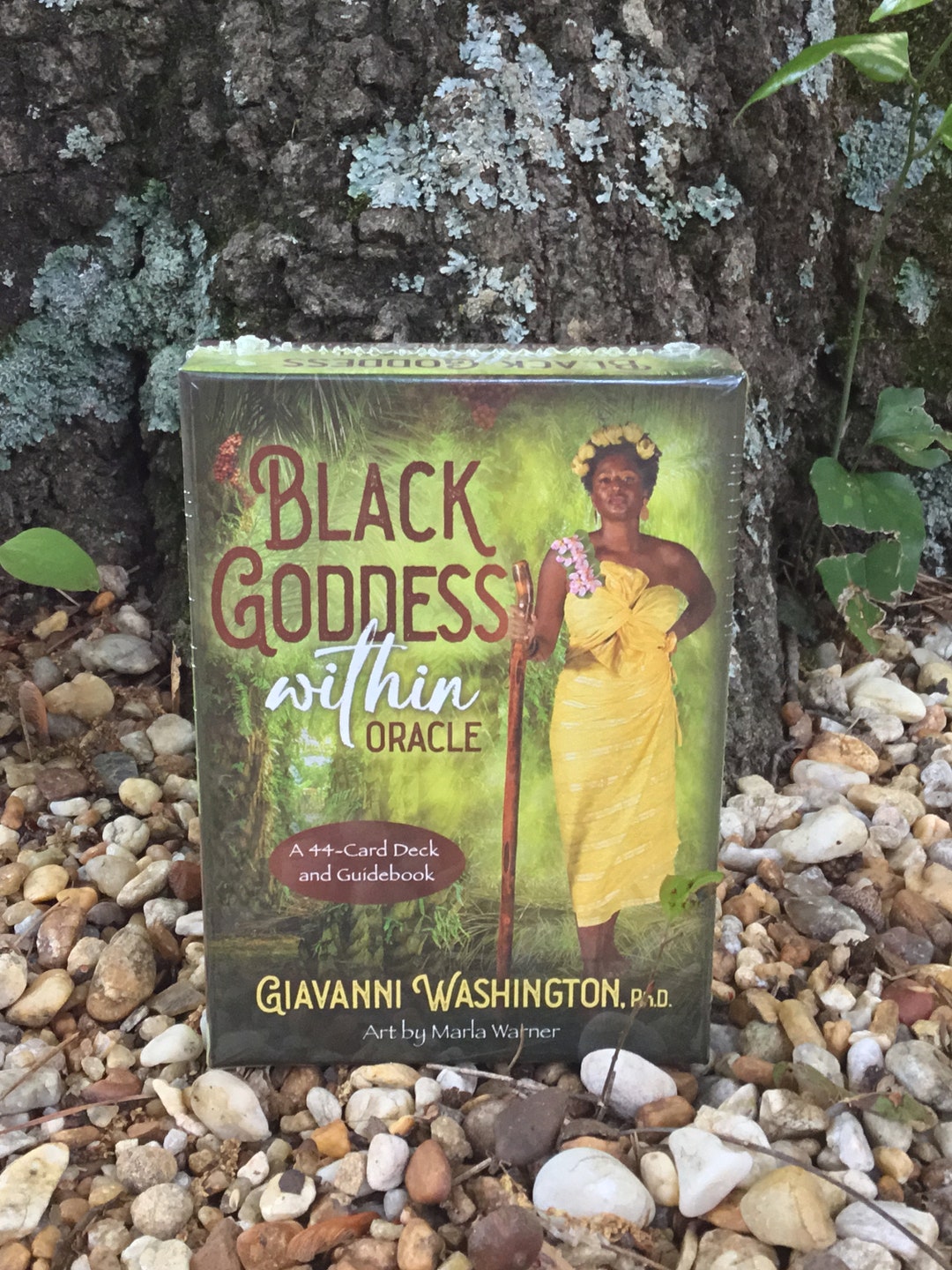 Black Goddess Within Oracle Cards, Oracle Card Decks Black People ...