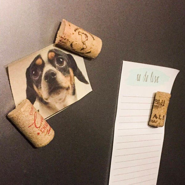 Cork Magnets - Etsy