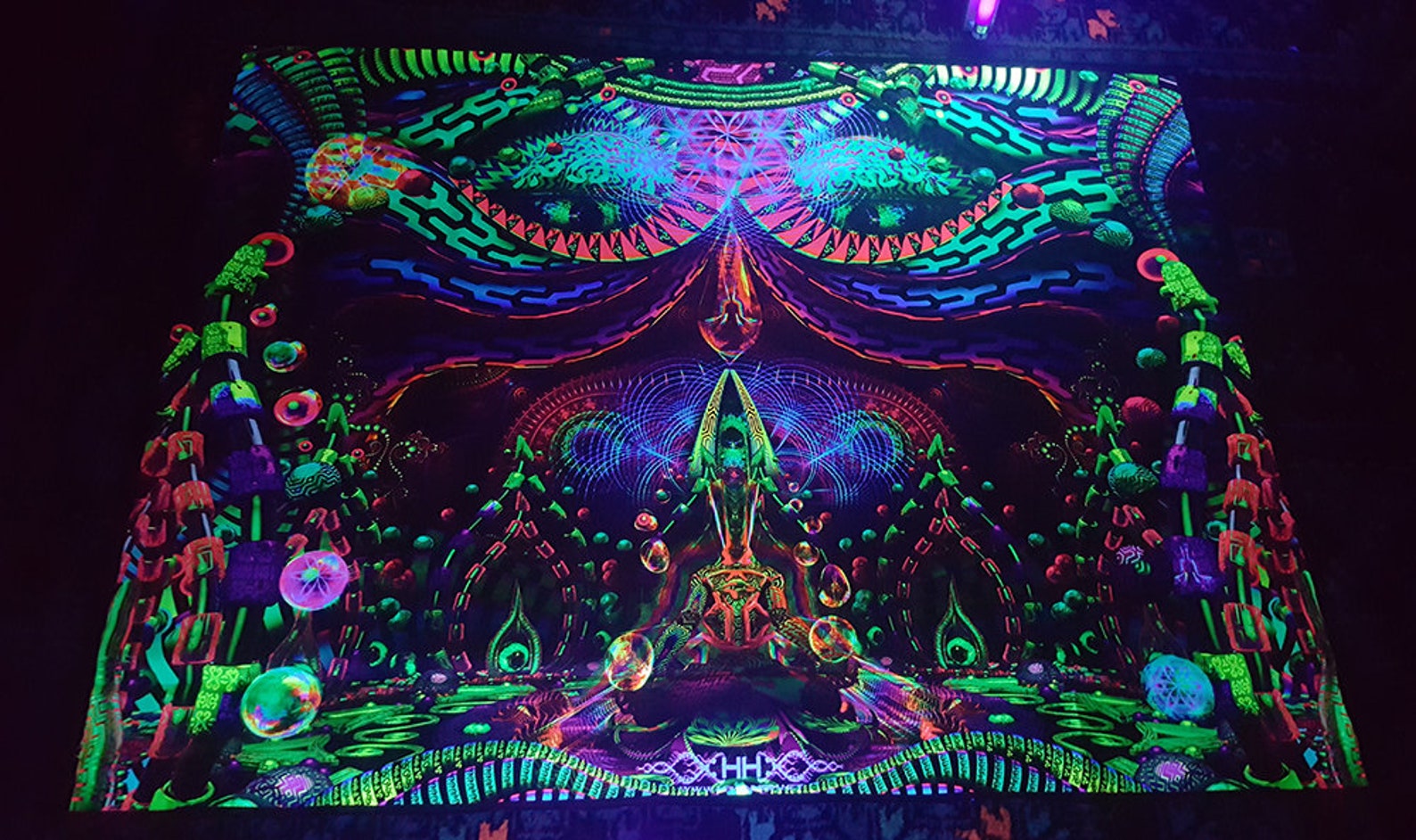 UV Active NEON Canvas Backdrop Primordial Playroom | Etsy