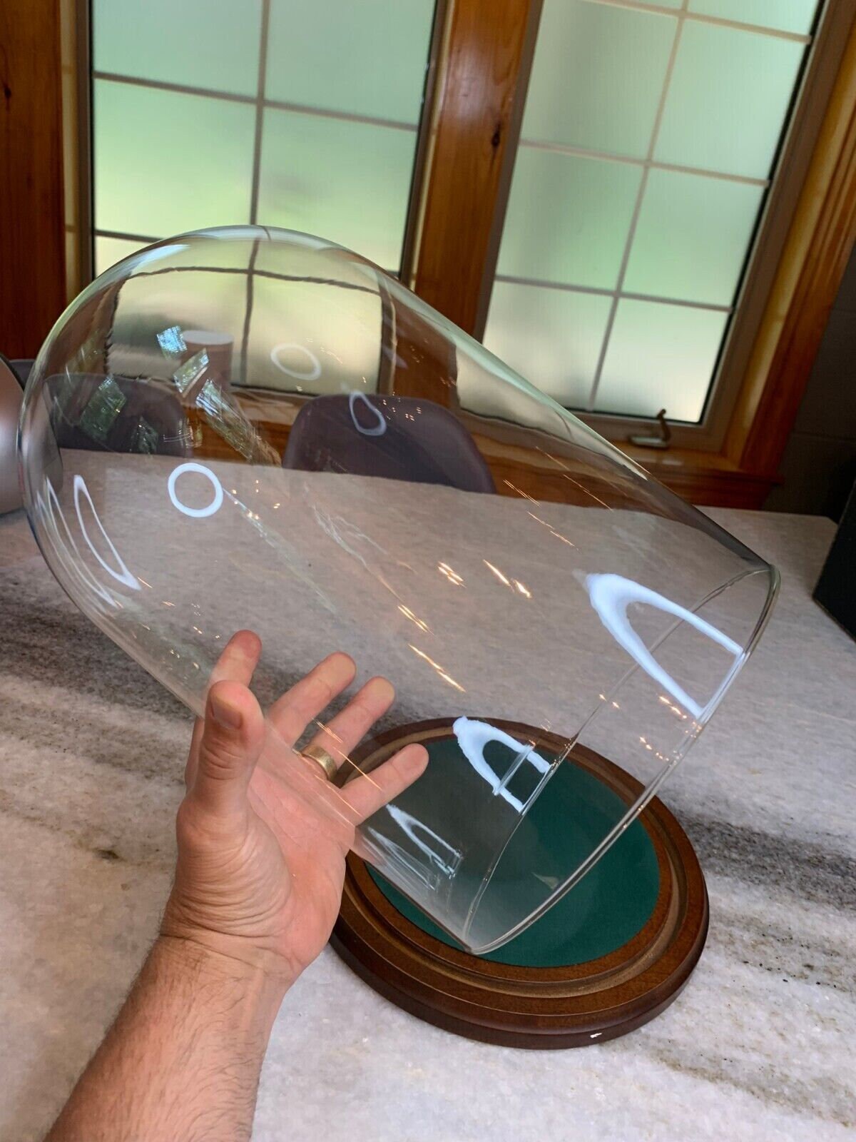 Extra Large Glass Dome Bell Jar/cloche Specimen Display W/wooden Base ...