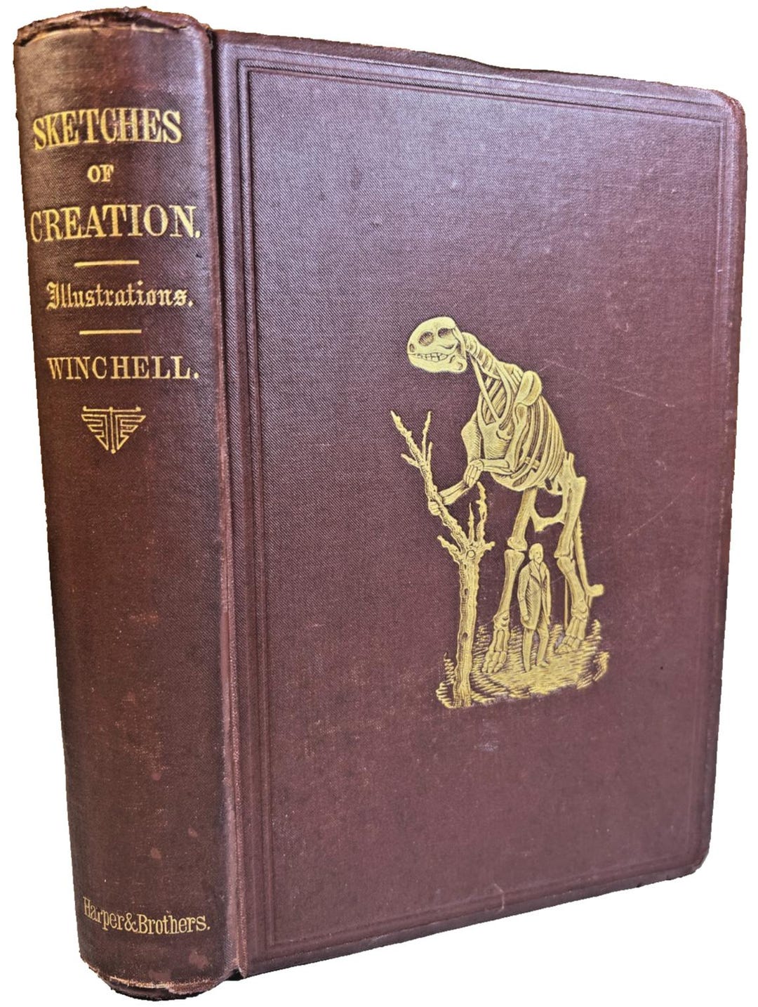 Antique Victorian Book 1870 1st Ed Sketches of Creation Paleontology ...