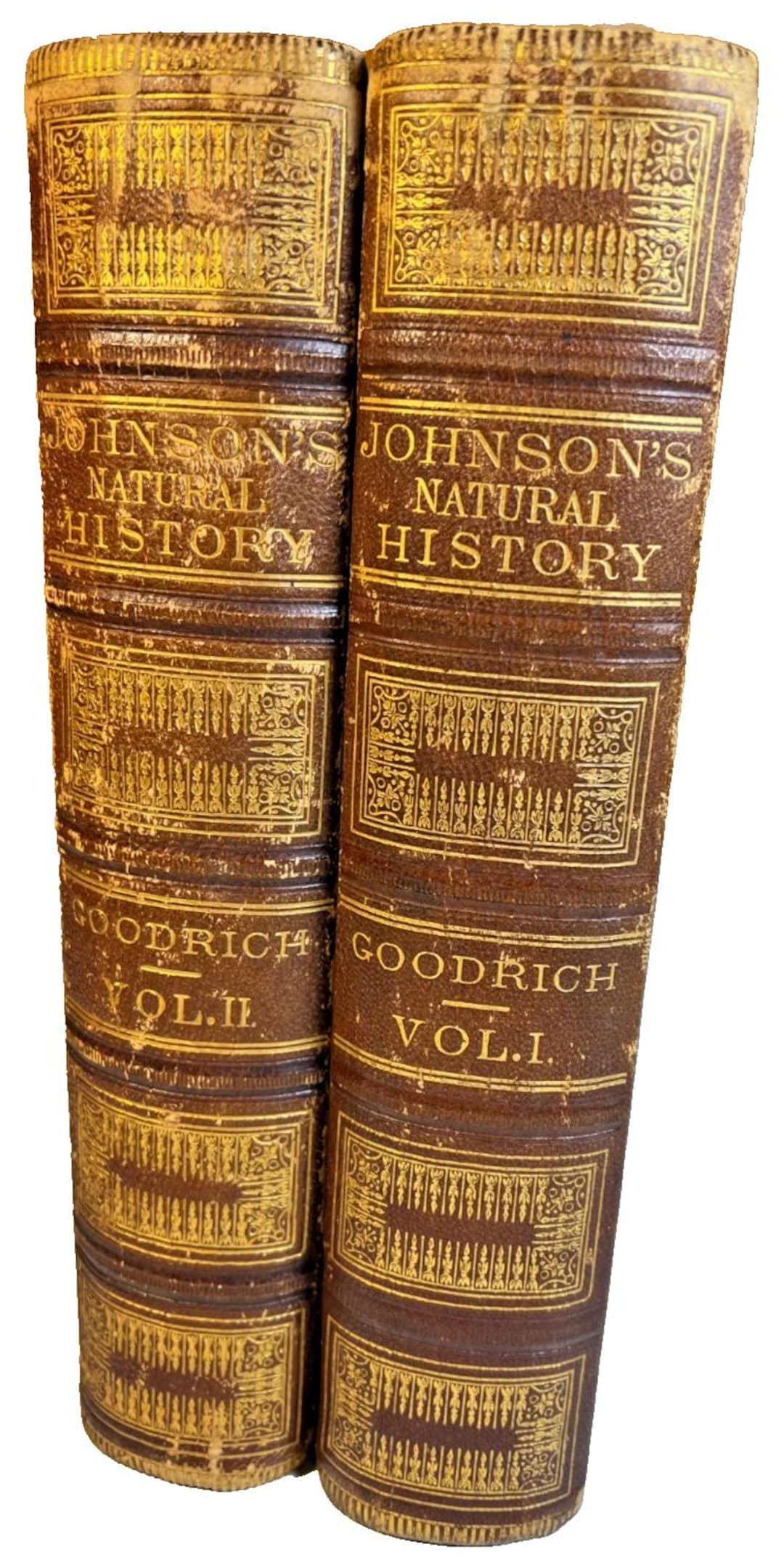 Antique Victorian Book Johnson’s Natural History Vol I & Ii 1852 ...
