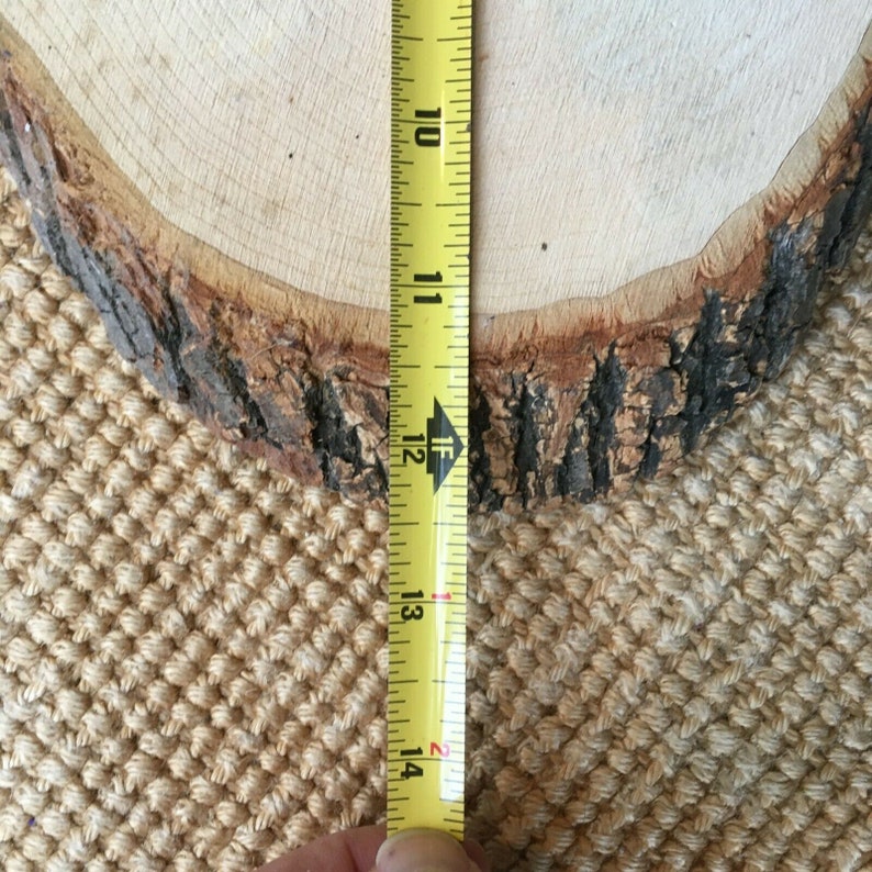 Vintage 1980s Pine Disc/plaque Picture MAINE Whitetail Deer/fawn ...