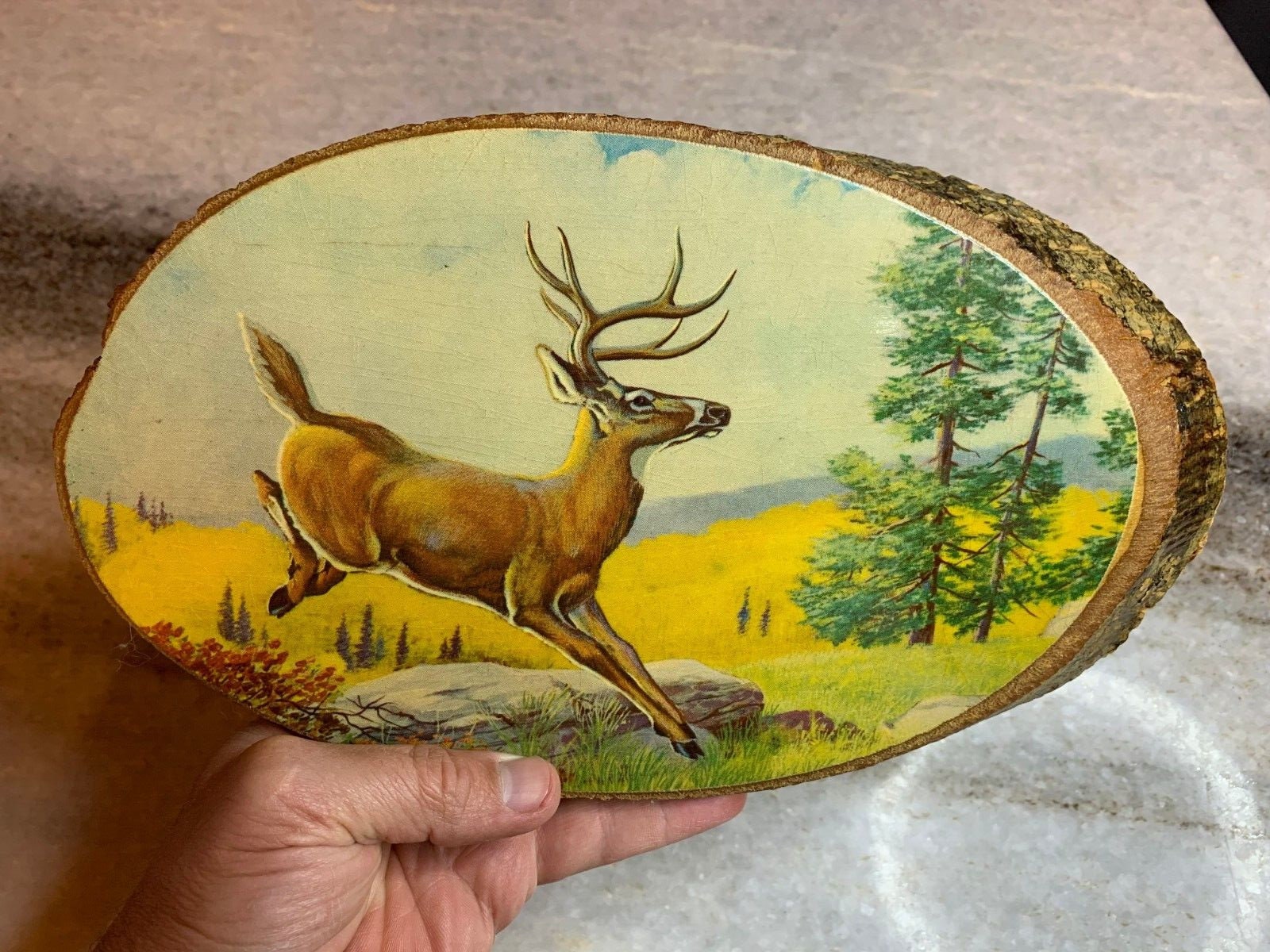Vintage 1980s Wood Wooden Pine Disc Plaque Picture Shellacked W/deer ...