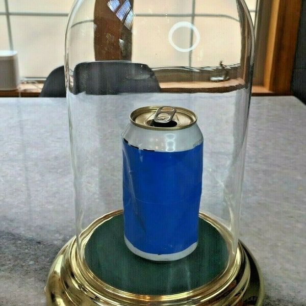 Bell Jar Taxidermy - Etsy