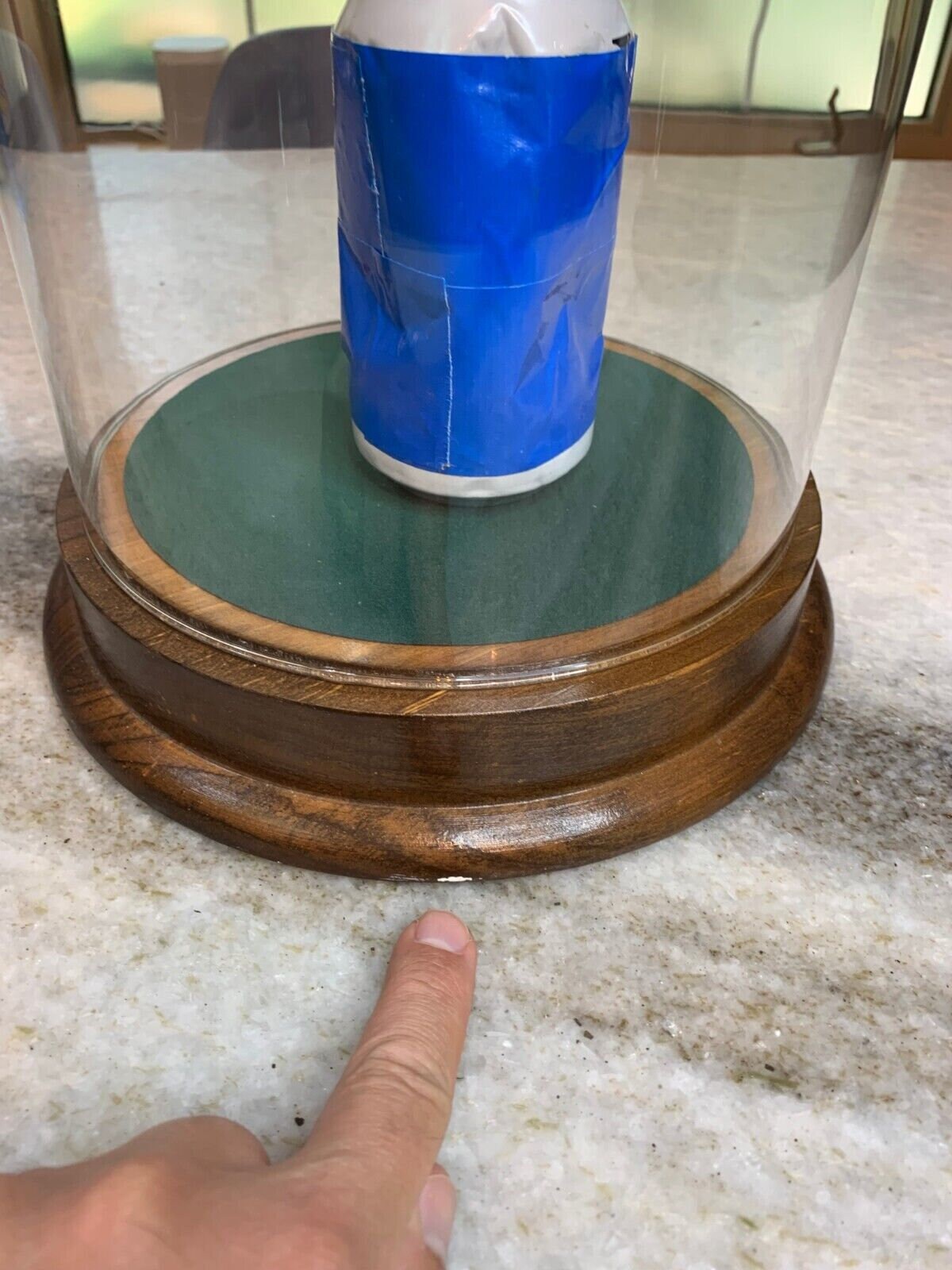 Extra Large Glass Dome Bell Jar/cloche Specimen Display W/wooden Base ...