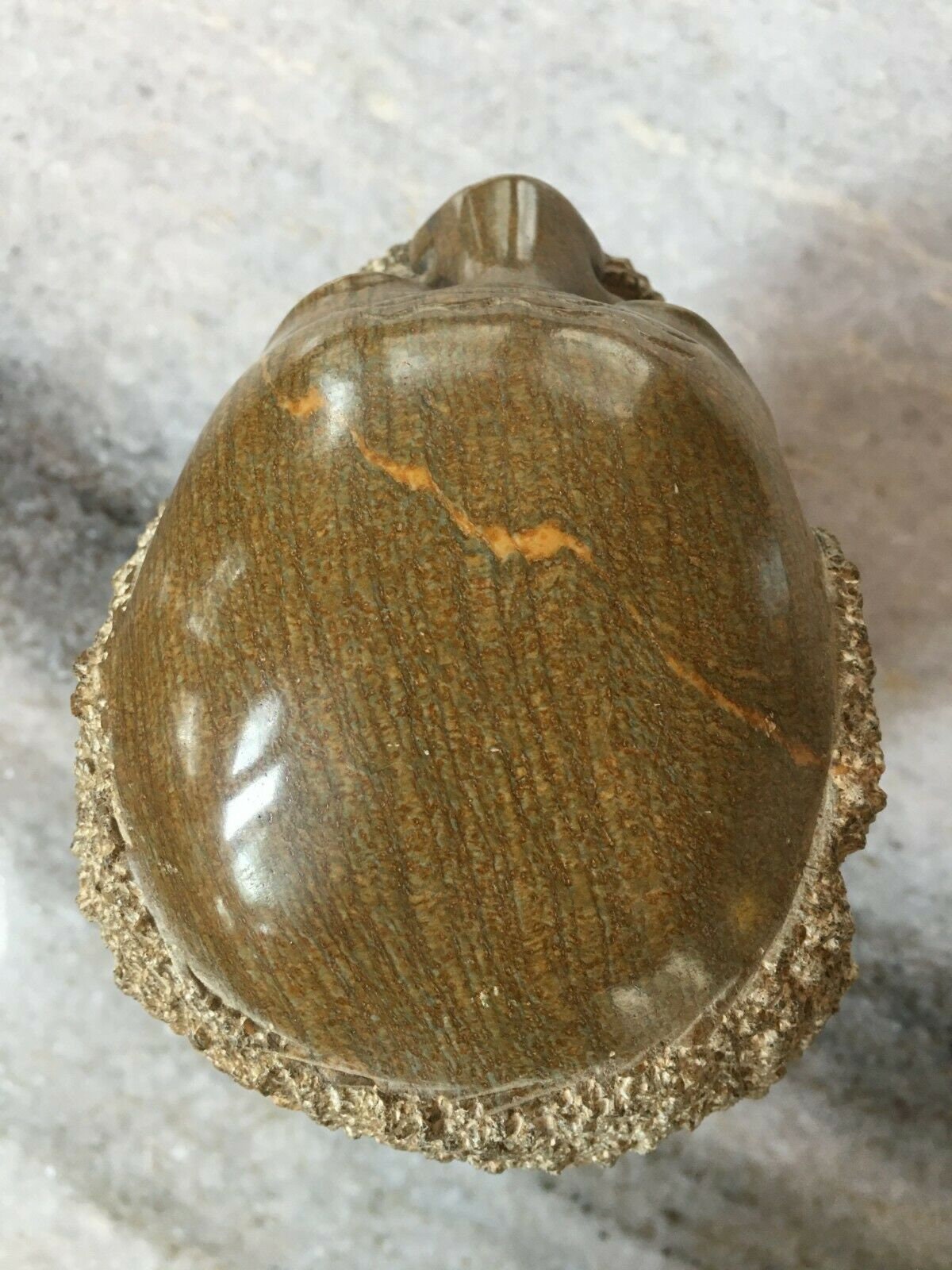 Carved Bearded Black Male Stone Bust/sculpture/figure Head petrified ...