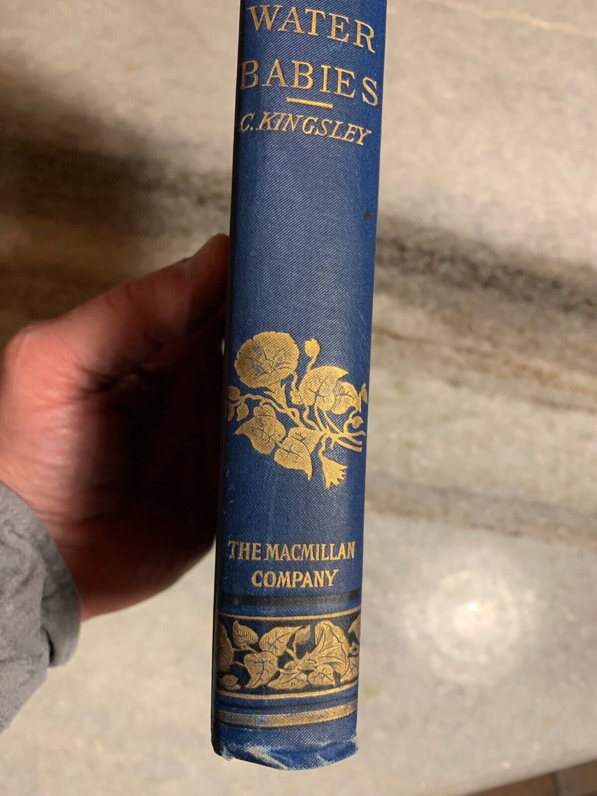 Antique Victorian Embossed Giled Gilt Ornate "water Babies" Book ...