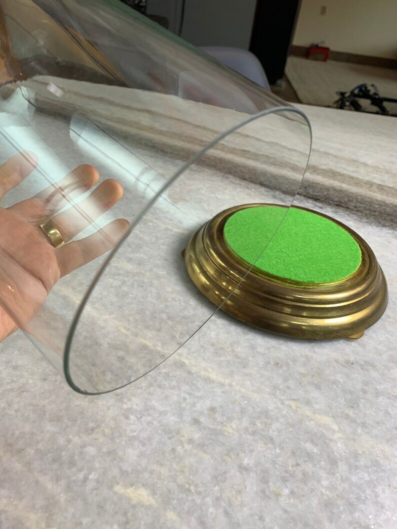 Antique Tall Glass Dome Bell Jar Cloche Specimen Display Metal Base 15. ...