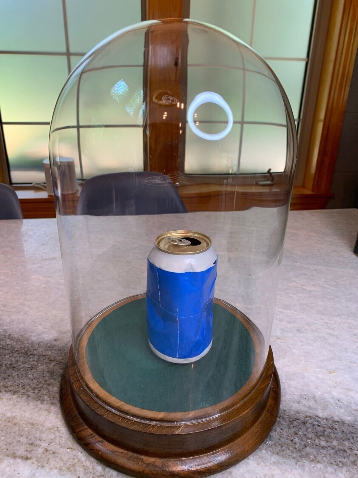 Extra Large Glass Dome Bell Jar/cloche Specimen Display W/wooden Base ...