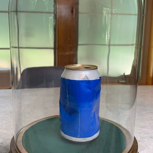 Bell Jar Taxidermy - Etsy