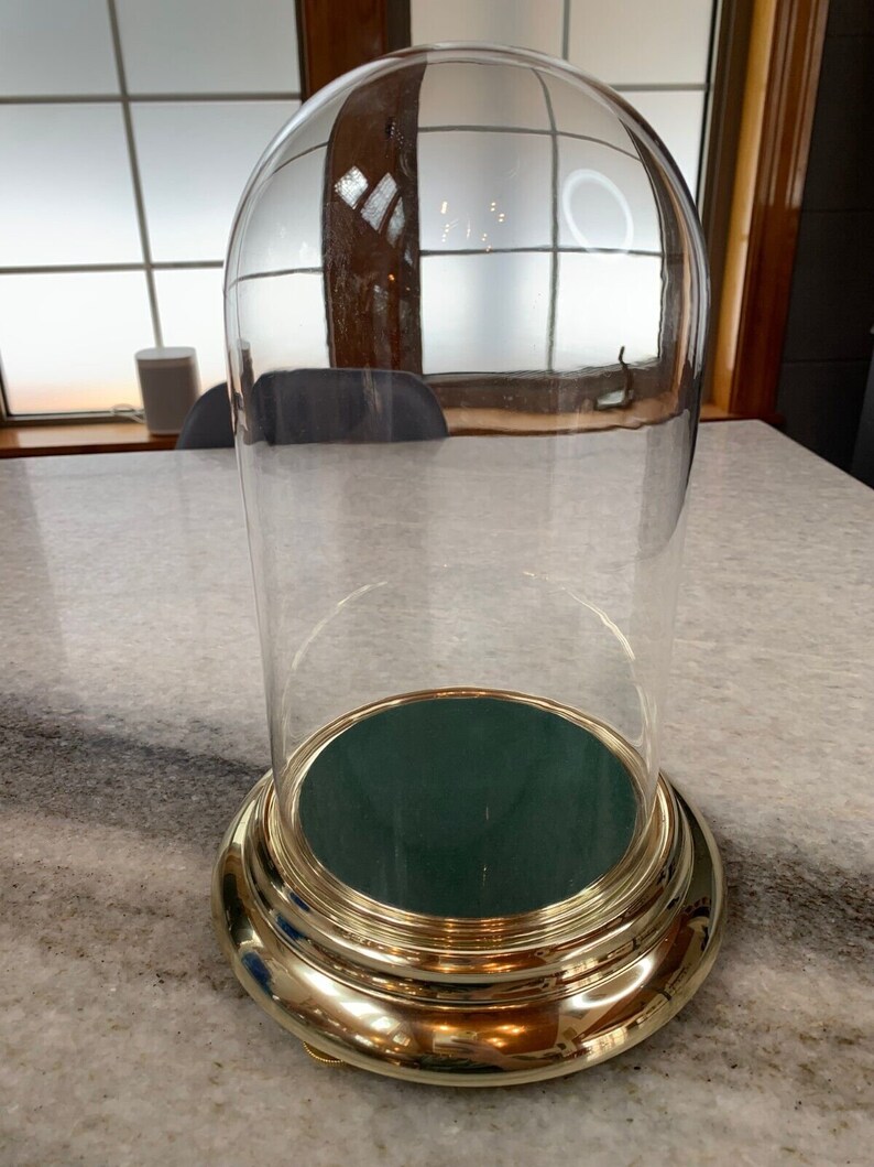 Vintage Glass Dome Bell Jar/cloche Specimen Display Micro Adjustable ...
