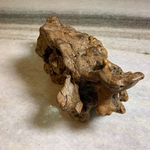 Clean Cleaned Burl Wood Root Roots Leveled Flat Bottom Art Wooden Base ...