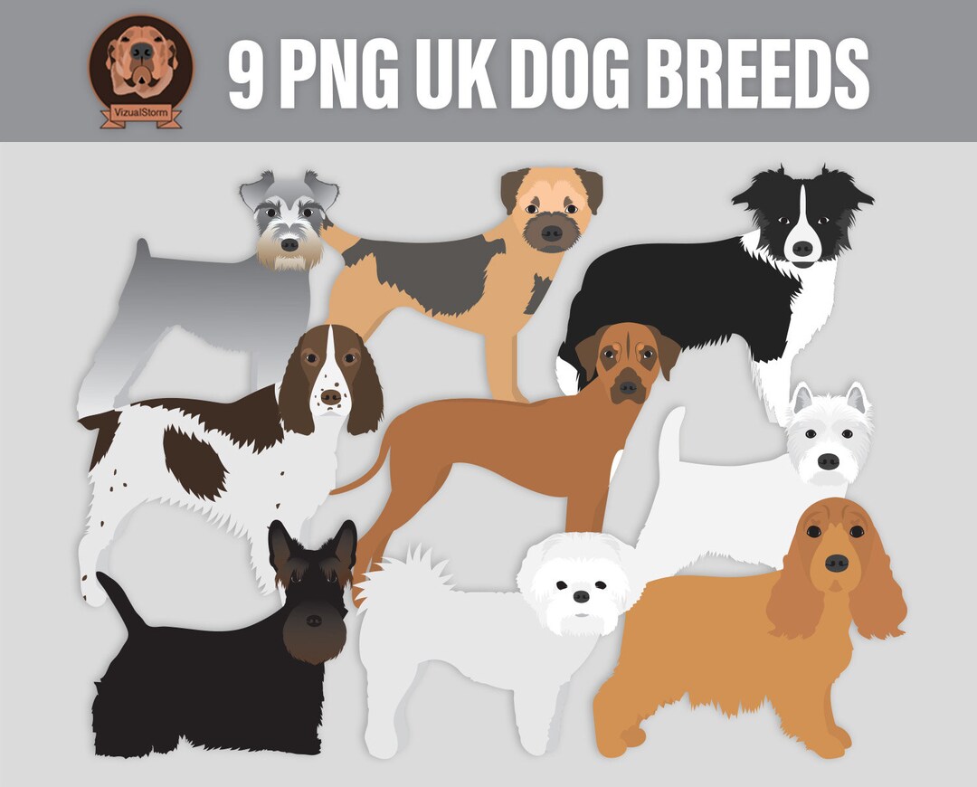 United Kingdom Dog Breeds Clipart - Spaniel, Collie, Ridgeback, Westie ...