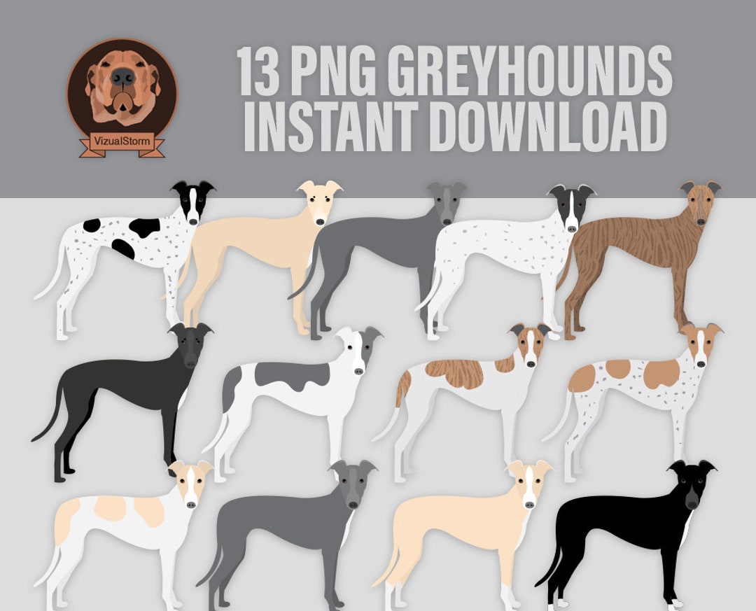 Greyhound Clipart Bundle Png Variety of Coat Cokors, Black, Blue ...