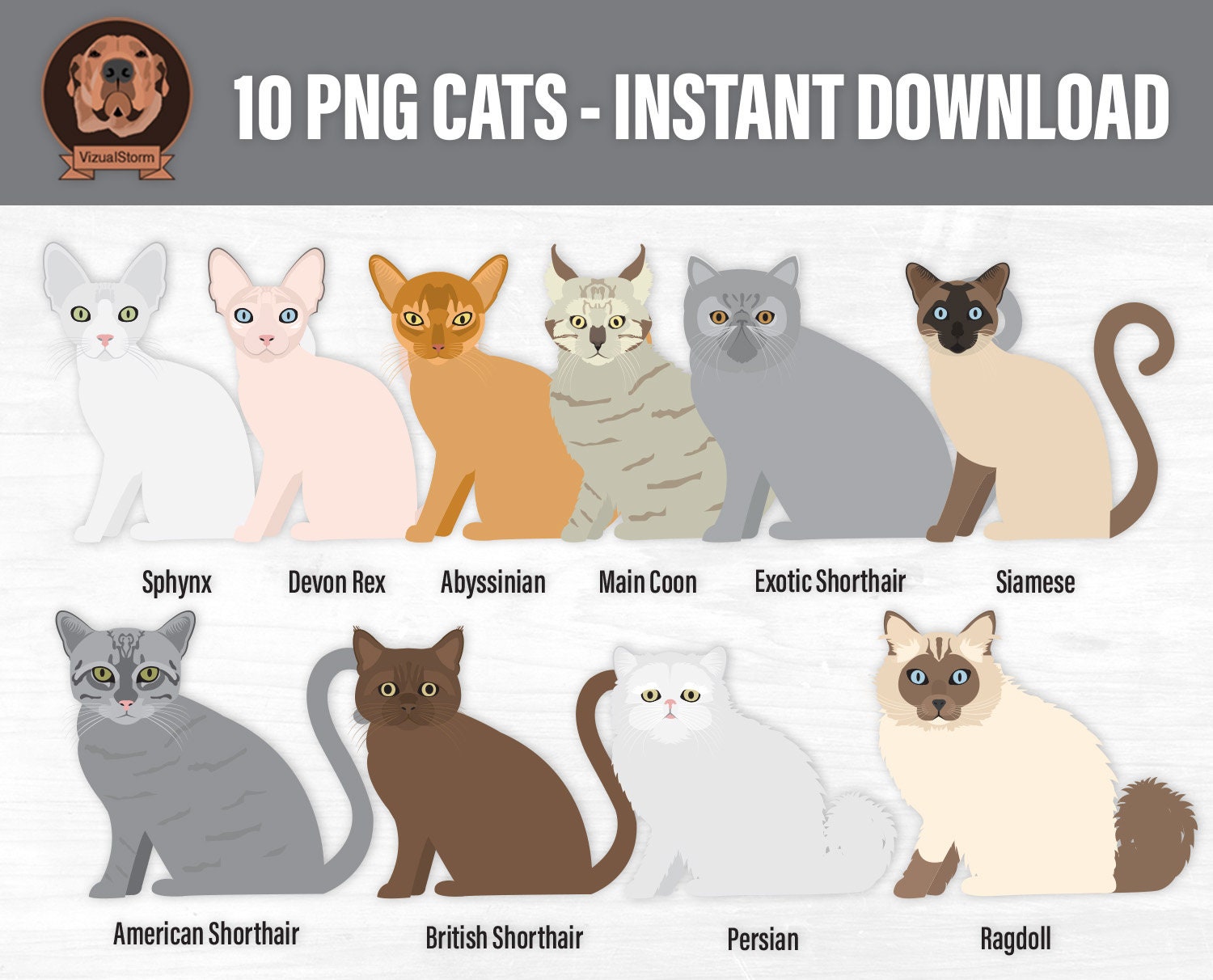 Sassy Cat Butts Png Bundle - Funny Feline Clipart, Hand Drawn Pet Bums ...