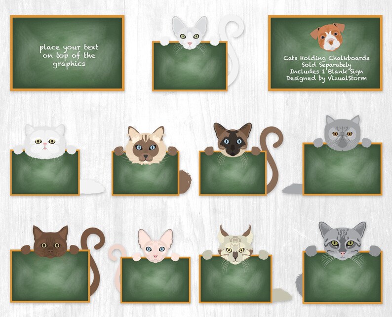 Png Cat Poses Behind Funny Kitty Butt Graphics Illustrated - Etsy España