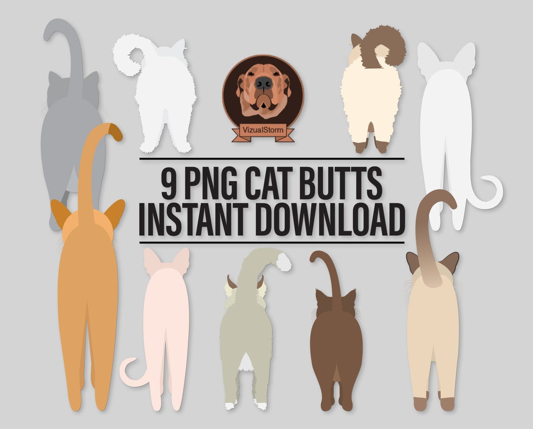 Png Cat Butts Clipart, Hand Drawn Kitten Breed Illustrations, Funny ...