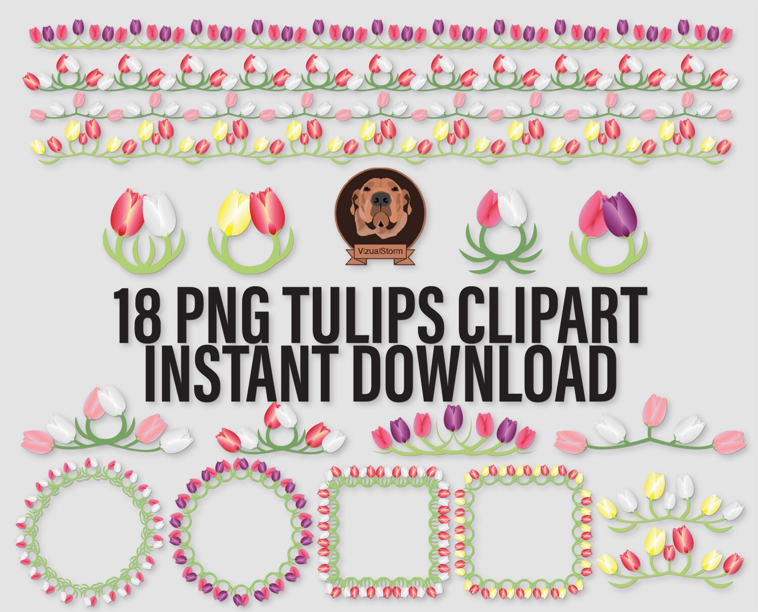 Bug Lover Clipart - Digital Insect Illustrations for Entomology Crafts ...