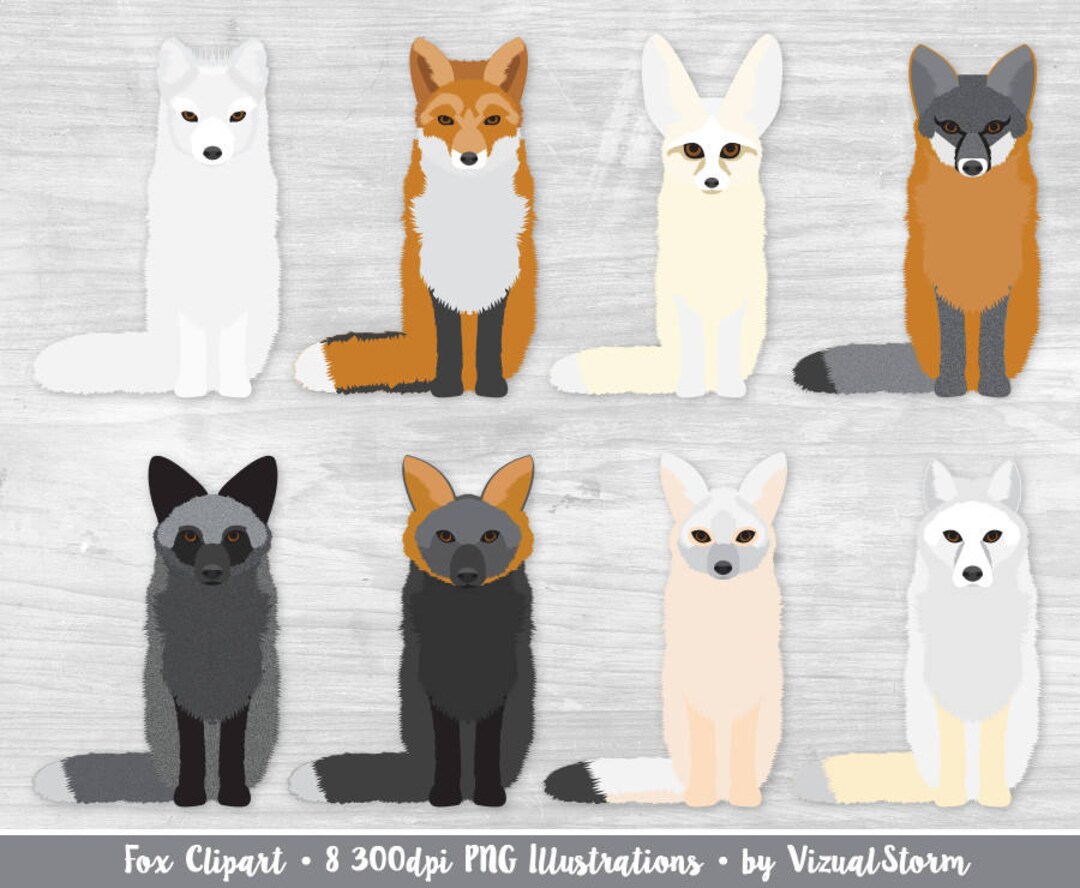 Sitting Fox Clipart Front View Foxes Species 8 Wildlife - Etsy