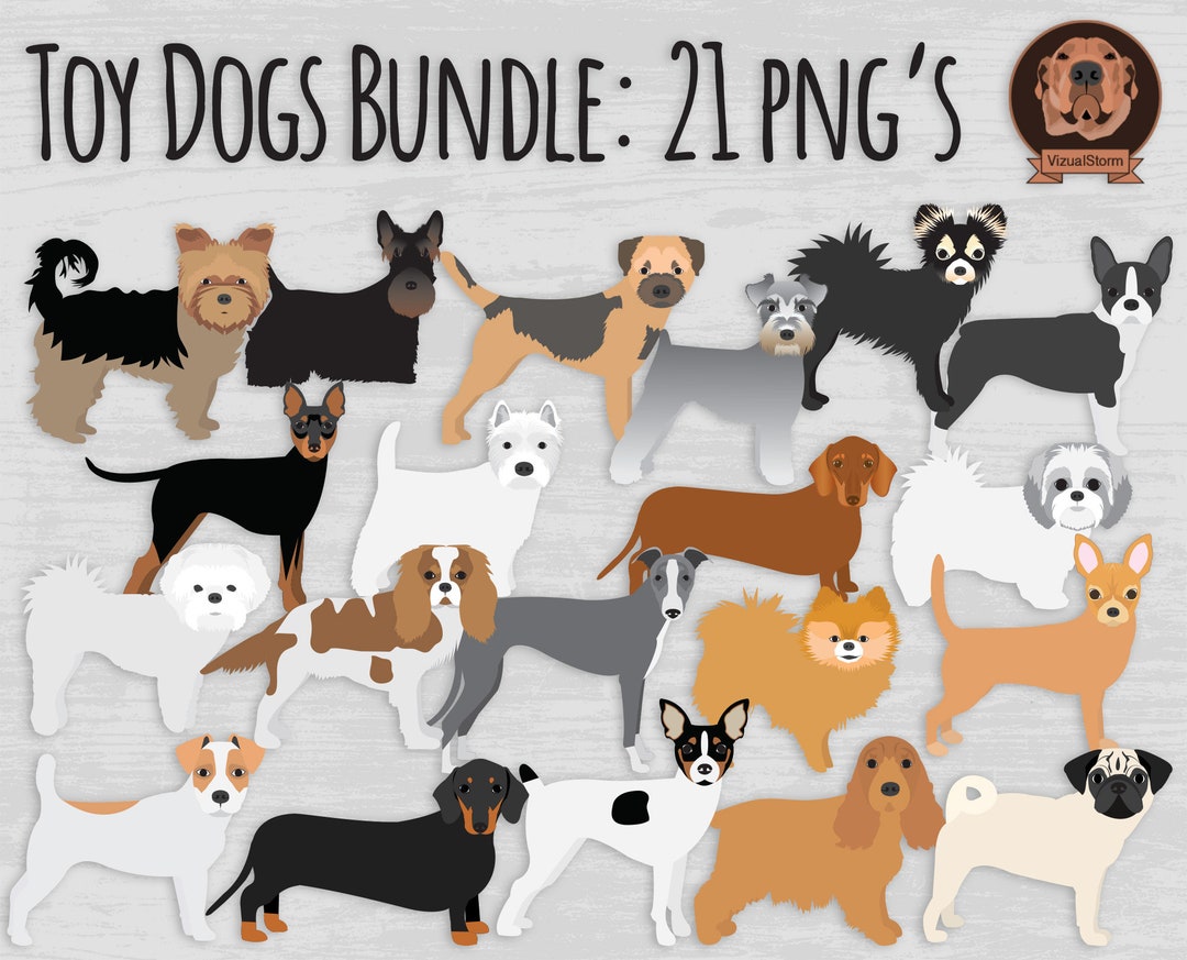 Png Toy Dog Breeds Clipart Bundle, Transparent Png's, 21 Small Dog ...