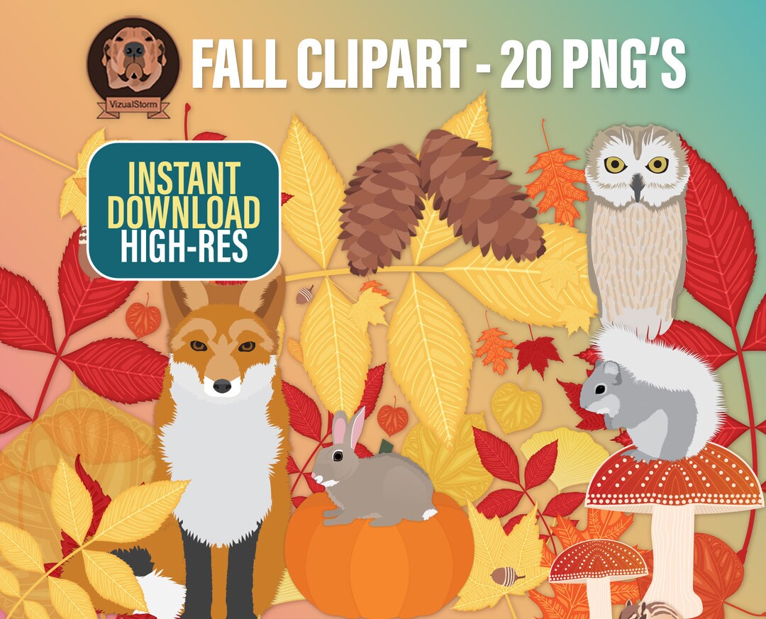Cozy Fall Woodland Clipart Bundle - PNG Forest Creatures With Mushroom ...