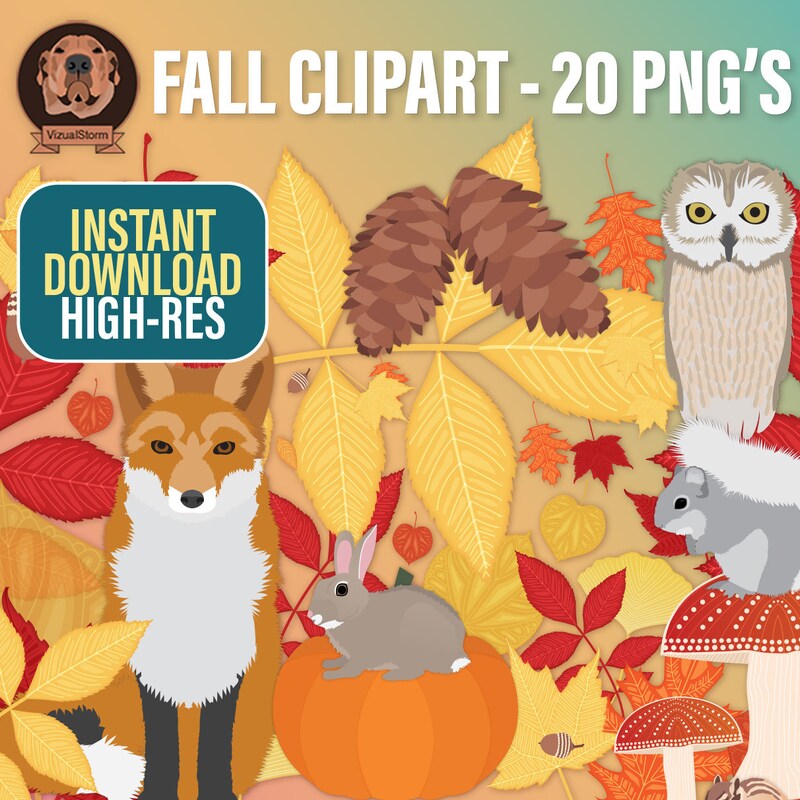 Fall Owl Clipart - Etsy