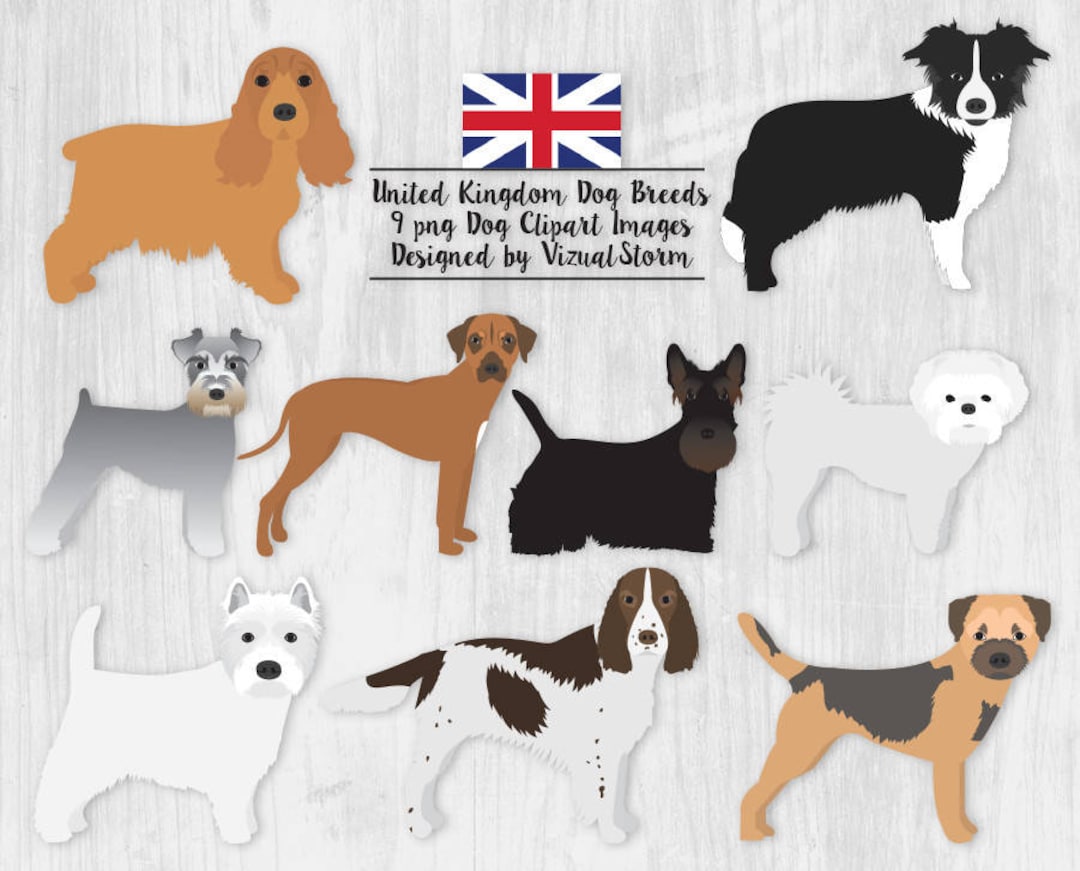 United Kingdom Dog Breeds Clipart Spaniel Collie Ridgeback - Etsy